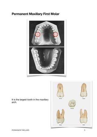 Handout, Lecture 11.pdf