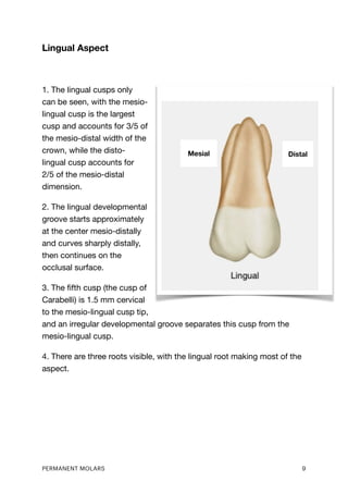Handout, Lecture 11.pdf