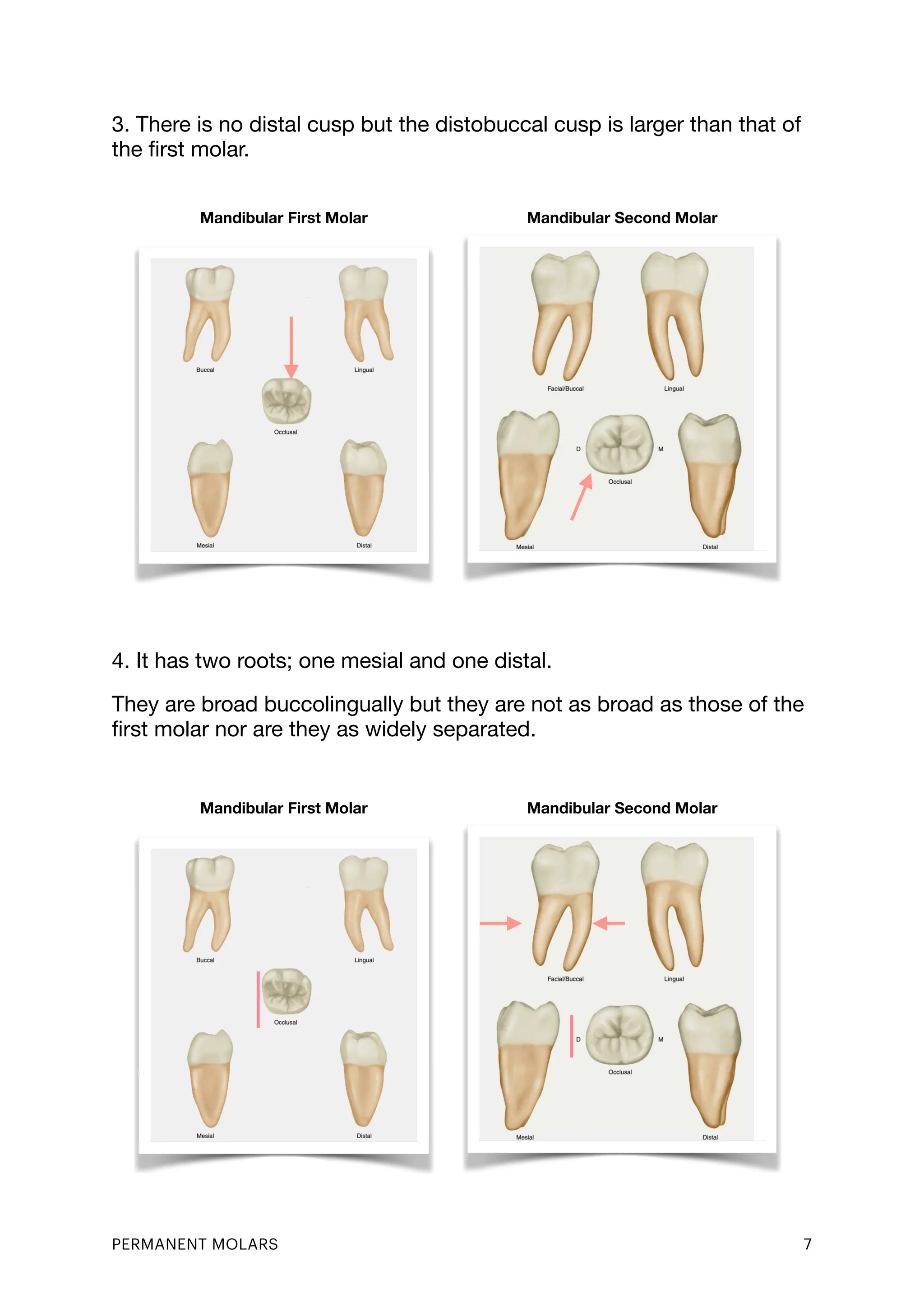 Handout, Lecture 14.pdf