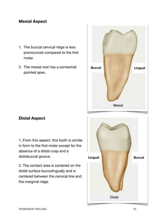 Handout, Lecture 14.pdf