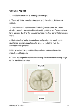 Handout, Lecture 14.pdf