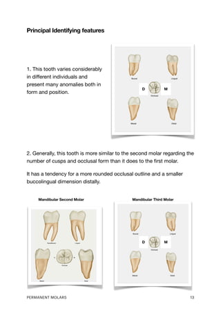 Handout, Lecture 14.pdf
