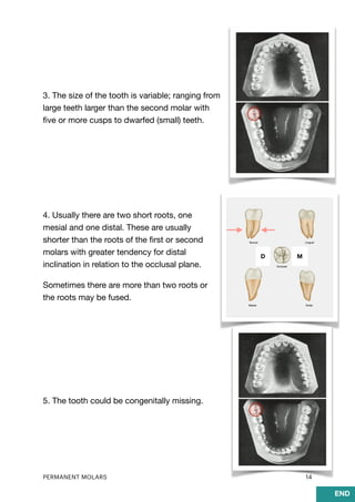 Handout, Lecture 14.pdf