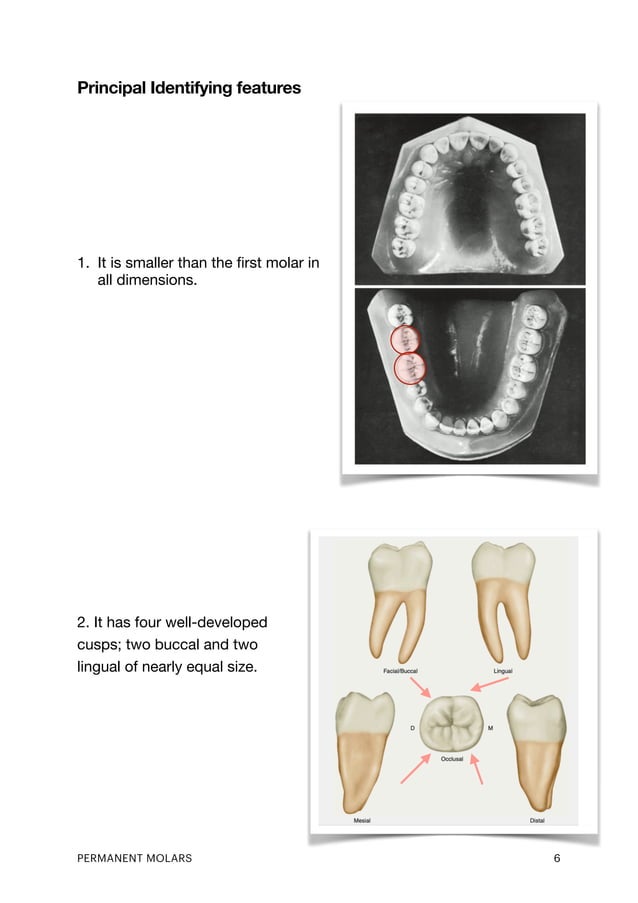 Handout, Lecture 14.pdf