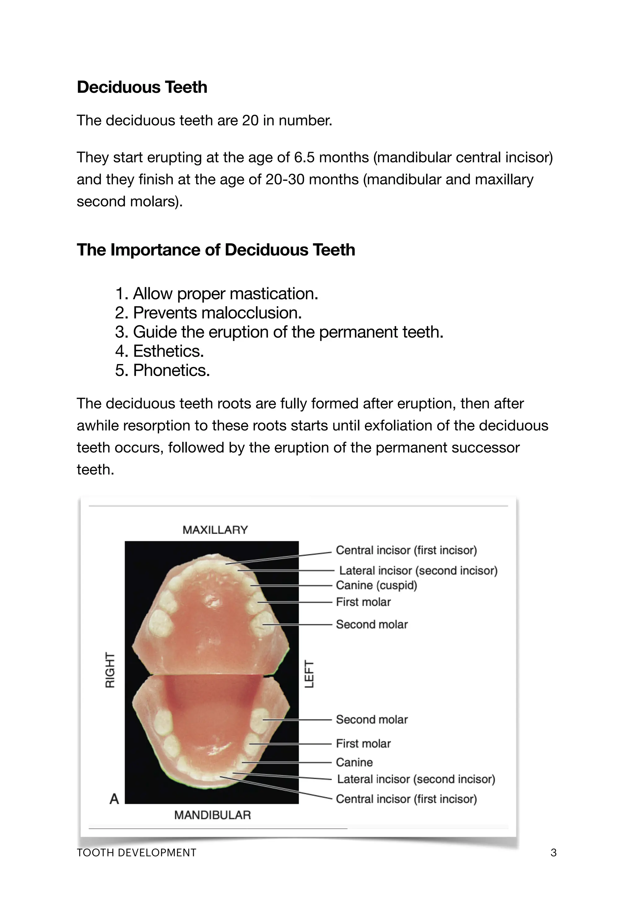Handout, Lecture 15.pdf