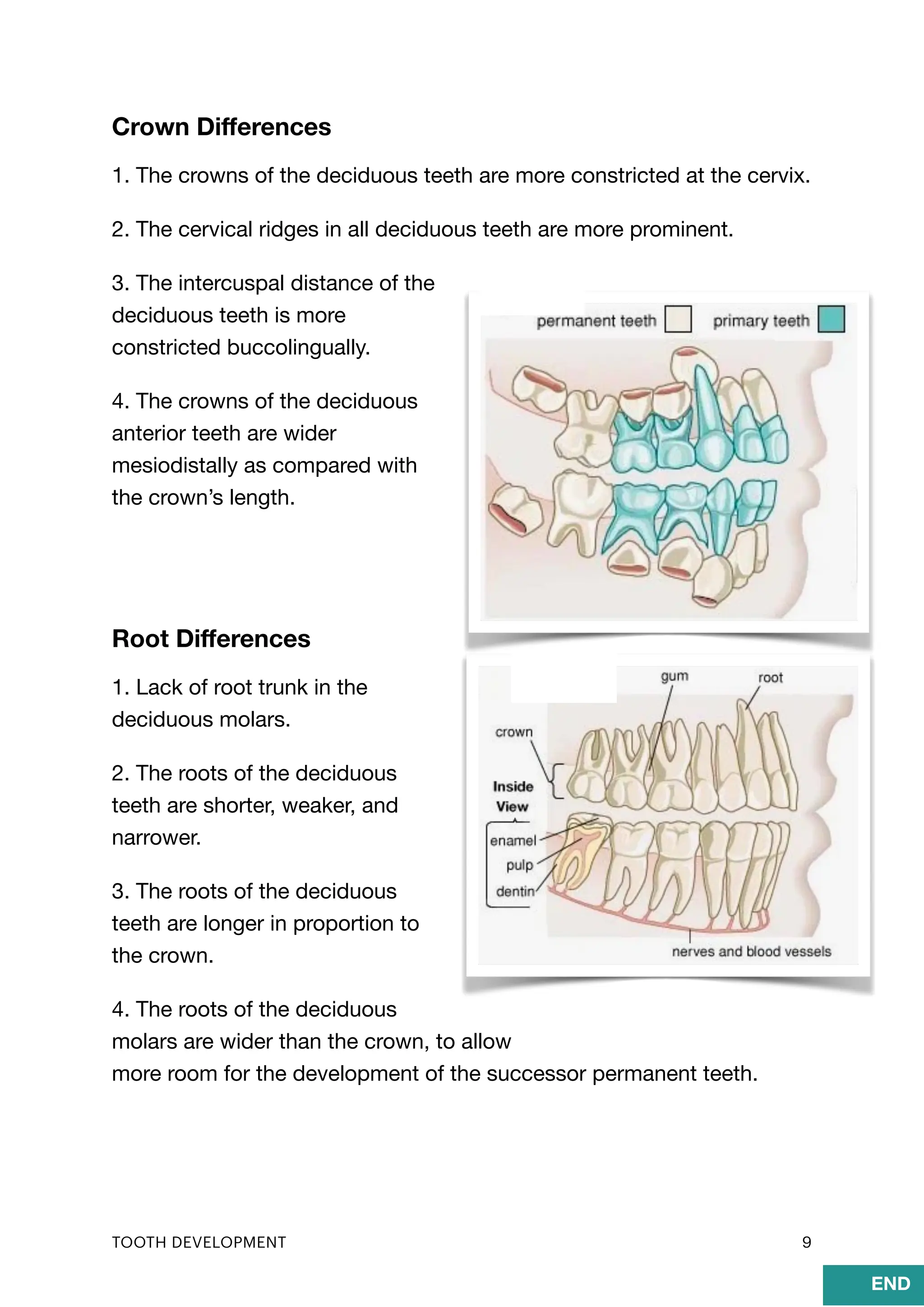 Handout, Lecture 15.pdf