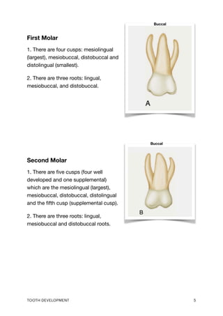 Handout, Lecture 15.pdf