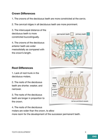 Handout, Lecture 15.pdf