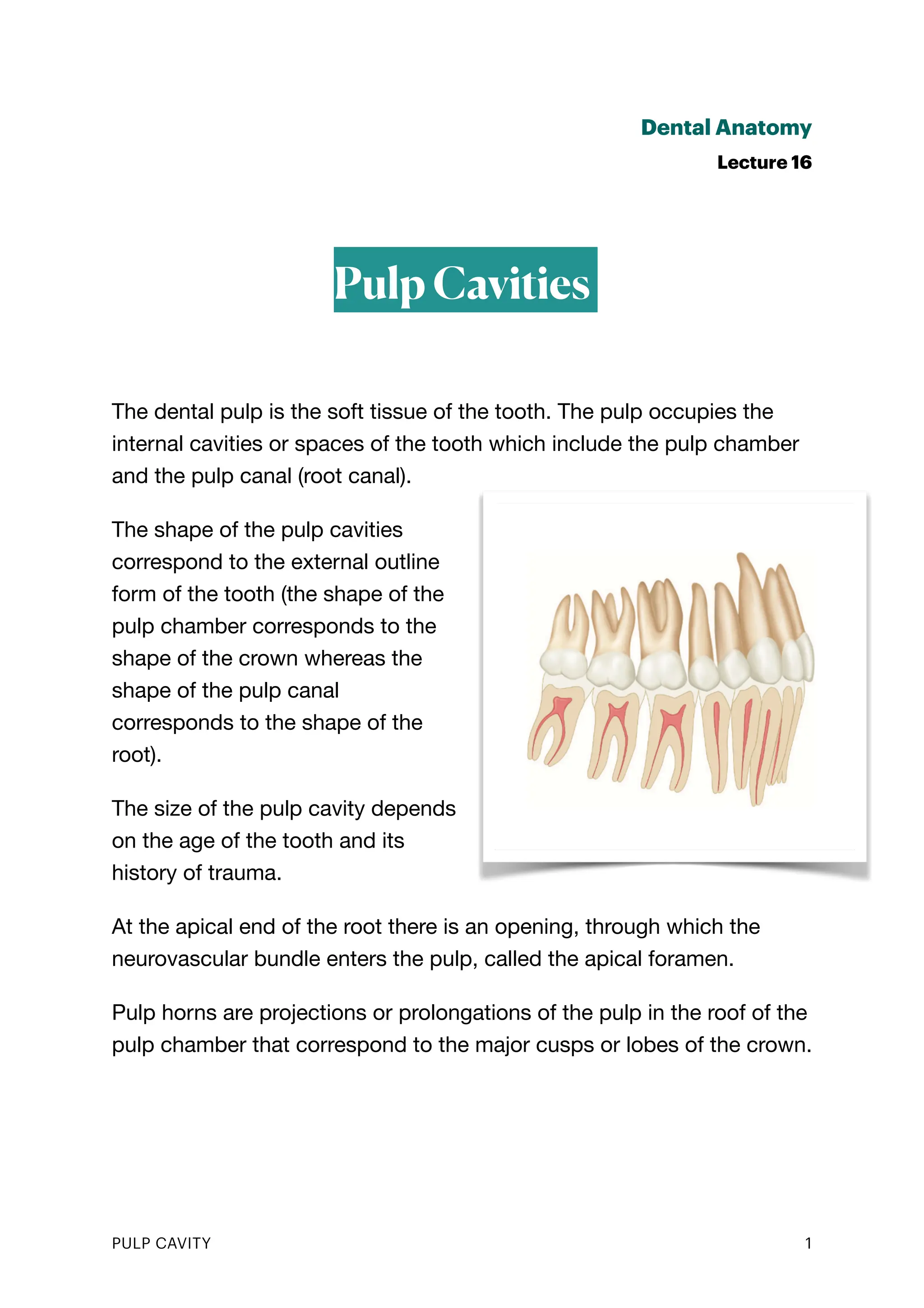 Handout, Lecture 16.pdf