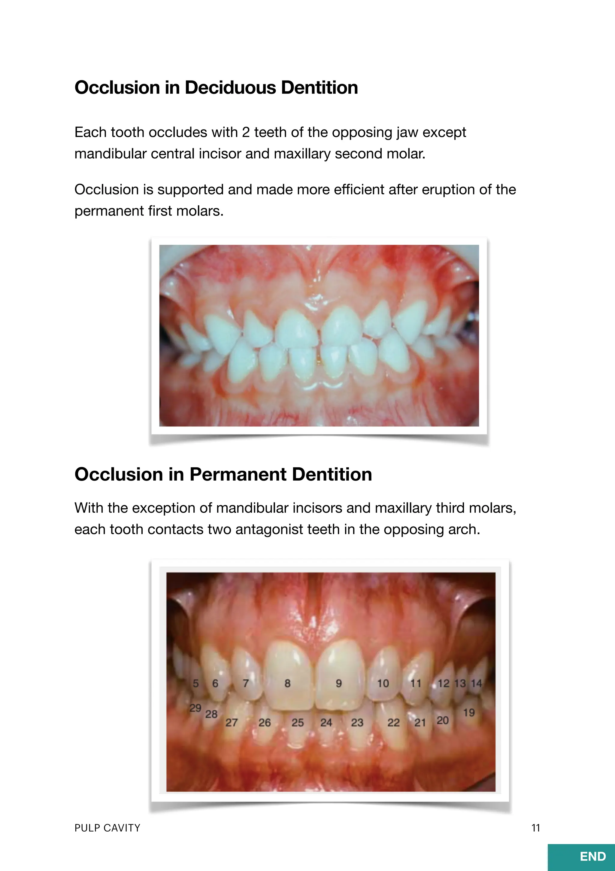 Handout, Lecture 16.pdf