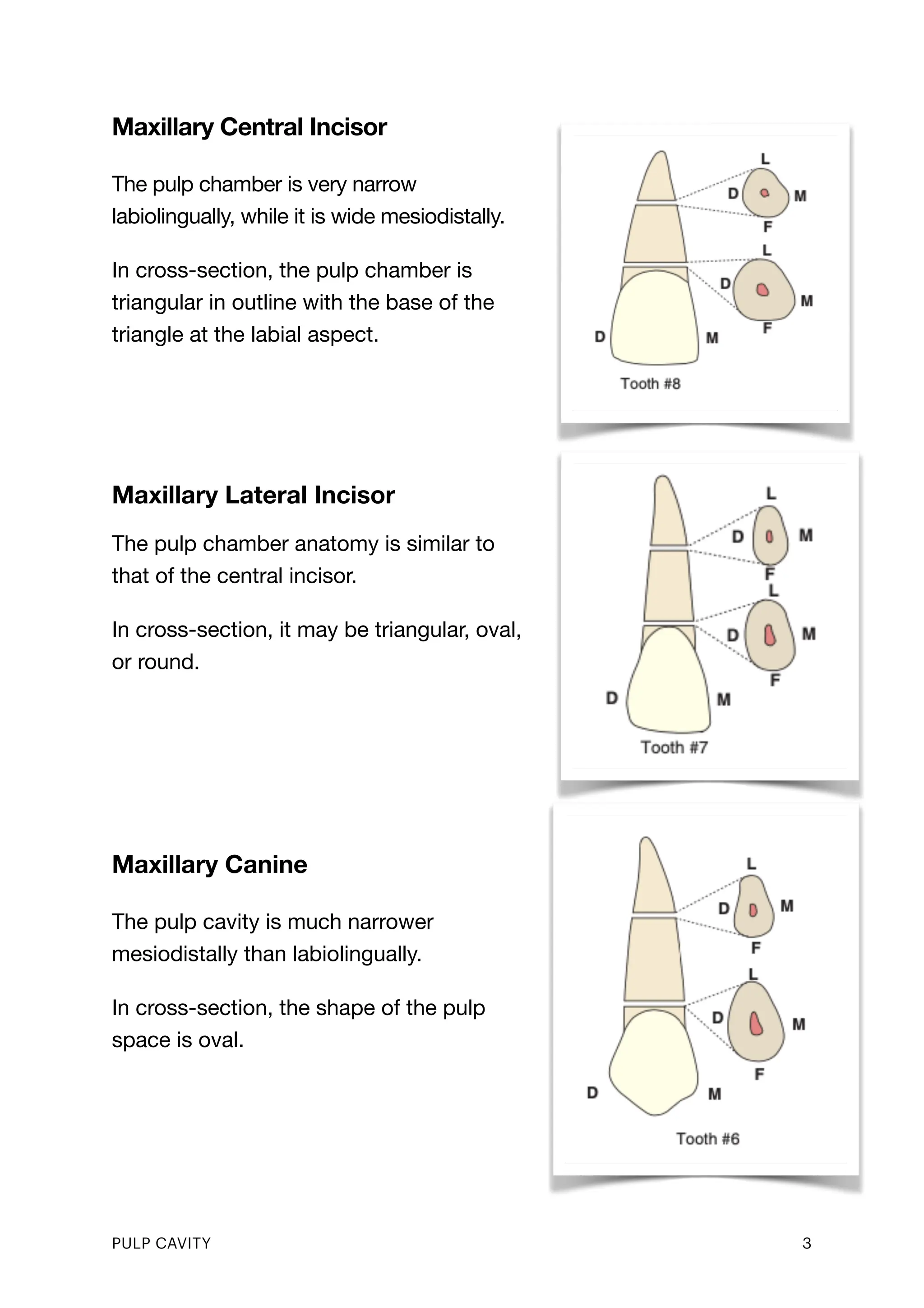 Handout, Lecture 16.pdf