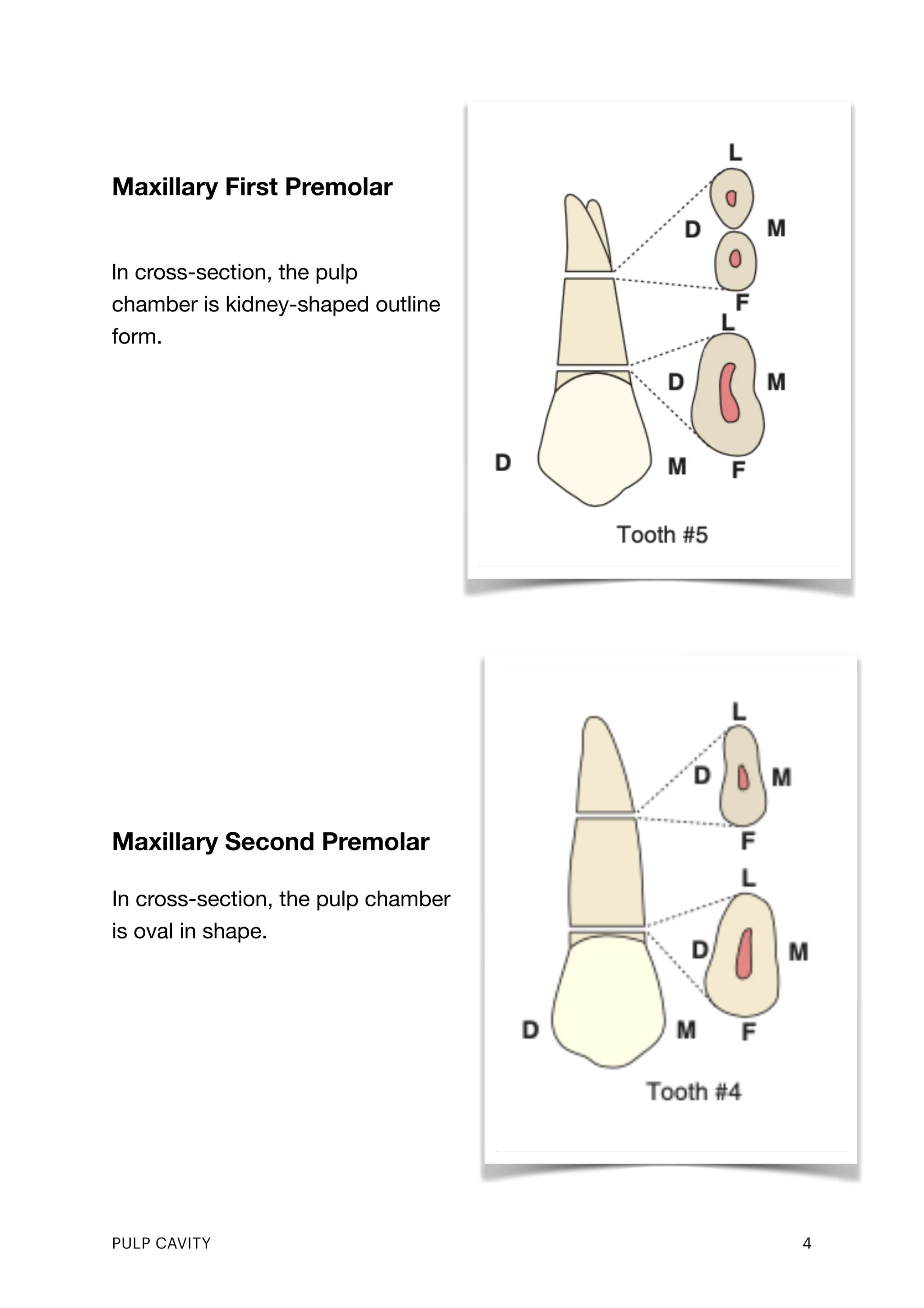 Handout, Lecture 16.pdf