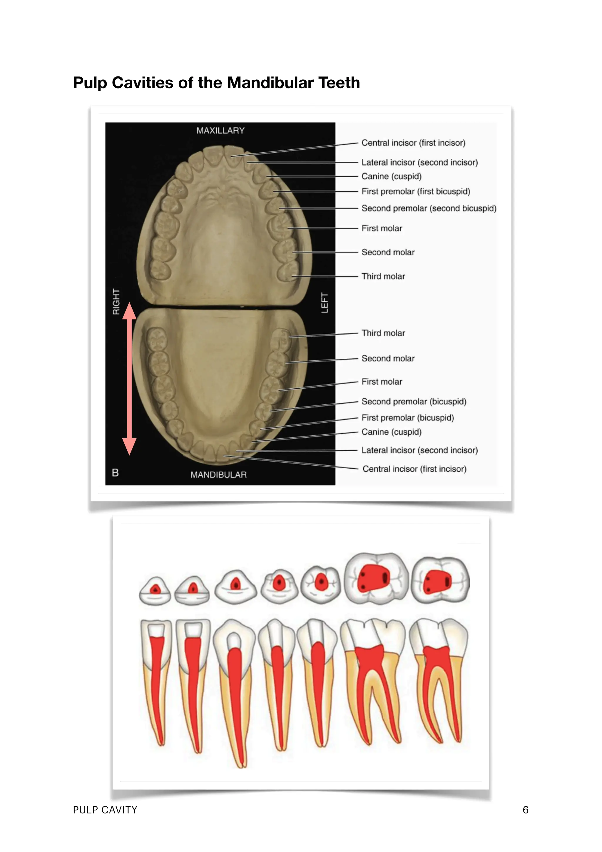 Handout, Lecture 16.pdf