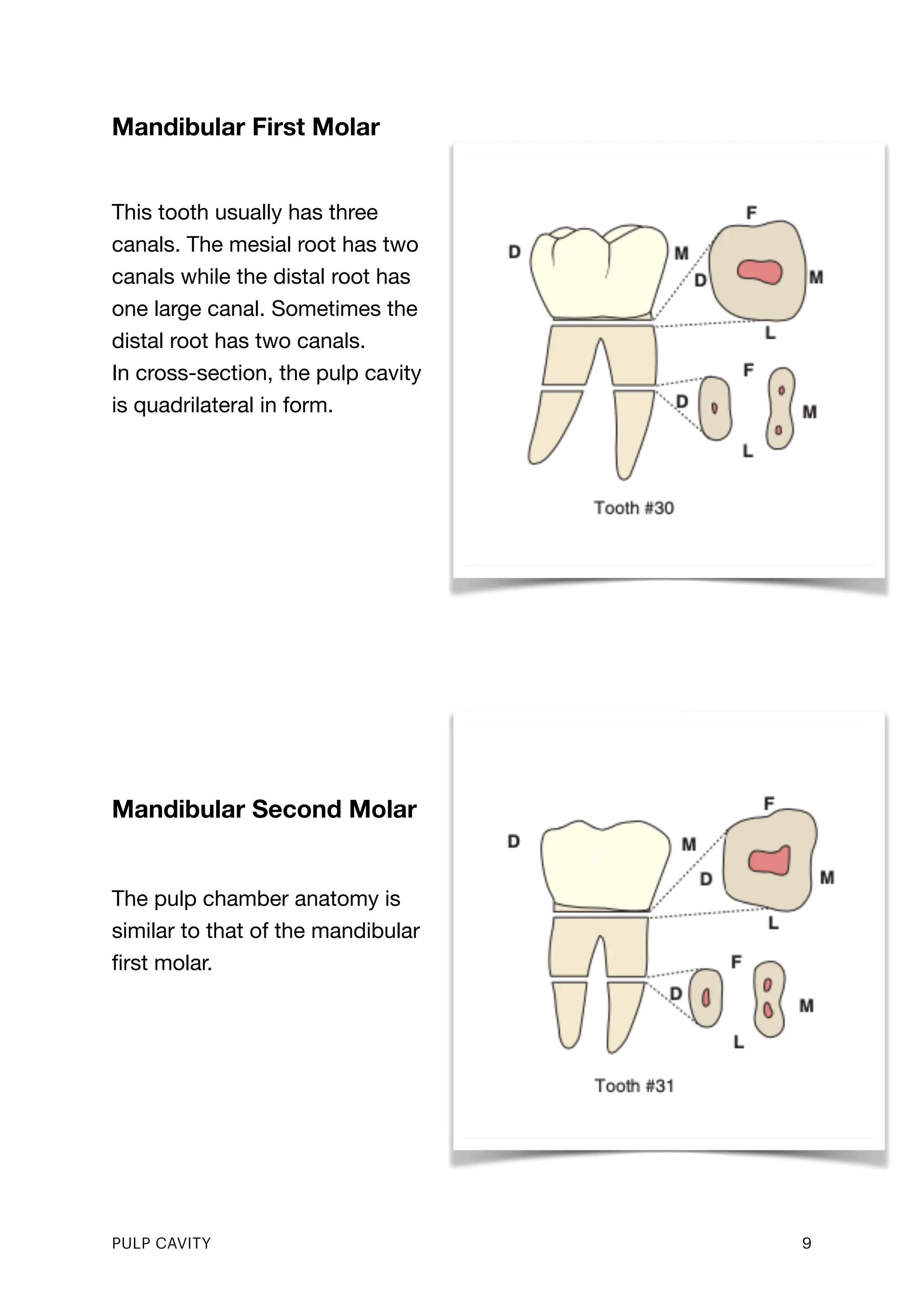 Handout, Lecture 16.pdf
