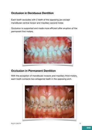Handout, Lecture 16.pdf
