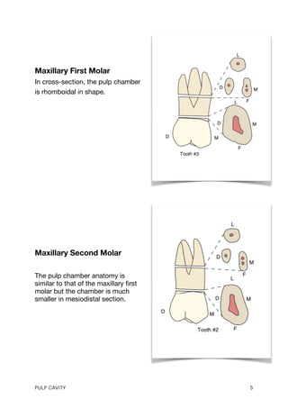 Handout, Lecture 16.pdf
