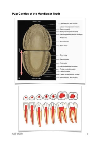 Handout, Lecture 16.pdf