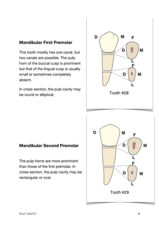 Handout, Lecture 16.pdf
