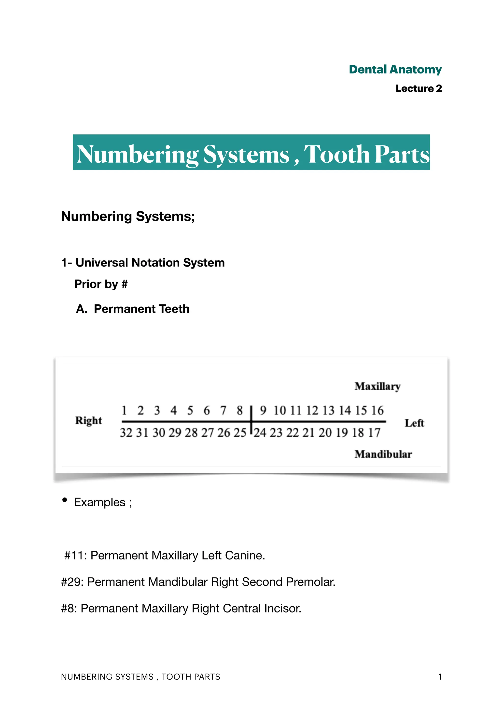 Handout, Lecture 2.pdf