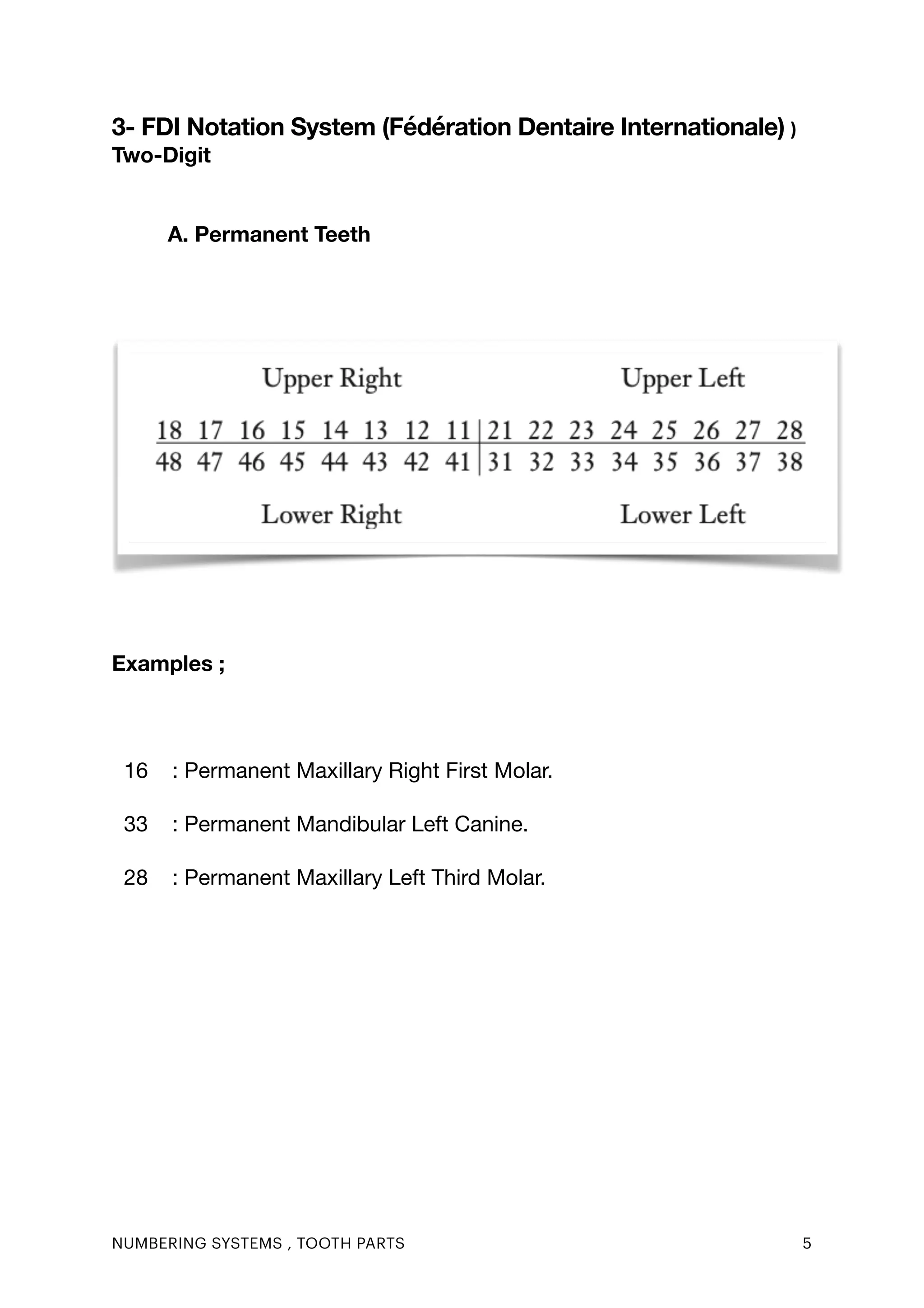 Handout, Lecture 2.pdf