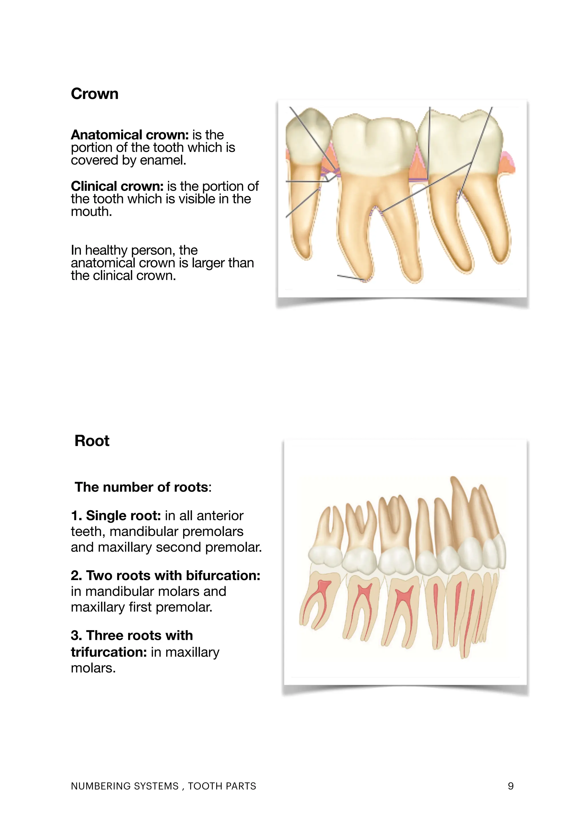 Handout, Lecture 2.pdf