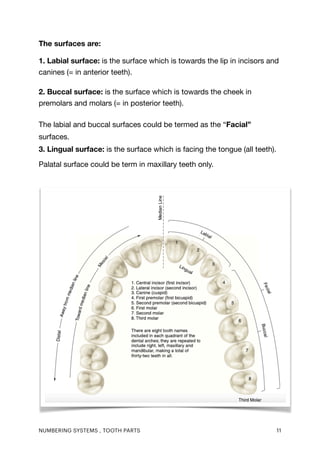 Handout, Lecture 2.pdf