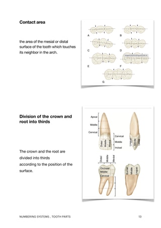 Handout, Lecture 2.pdf