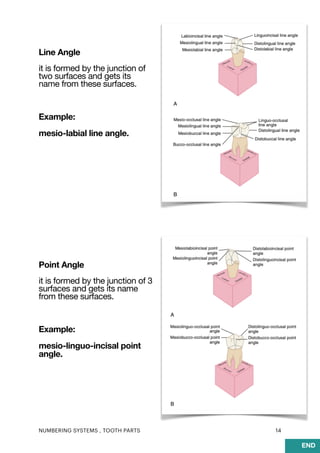 Handout, Lecture 2.pdf