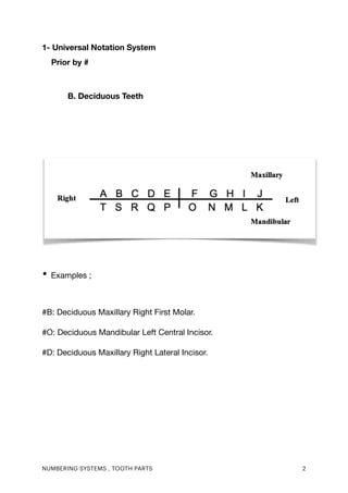 Handout, Lecture 2.pdf