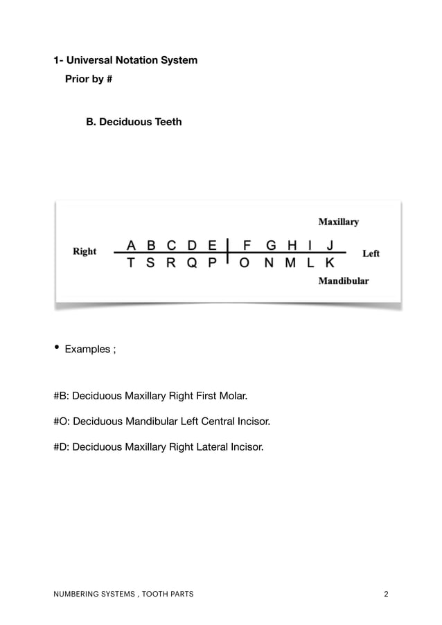 Handout, Lecture 2.pdf