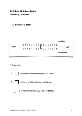 Handout, Lecture 2.pdf