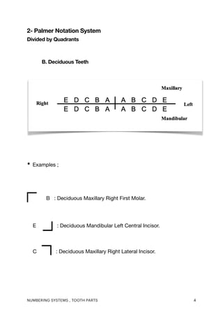 Handout, Lecture 2.pdf