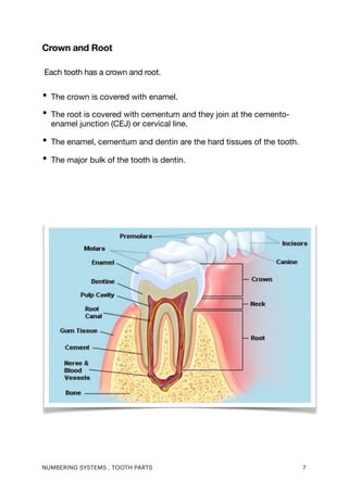Handout, Lecture 2.pdf