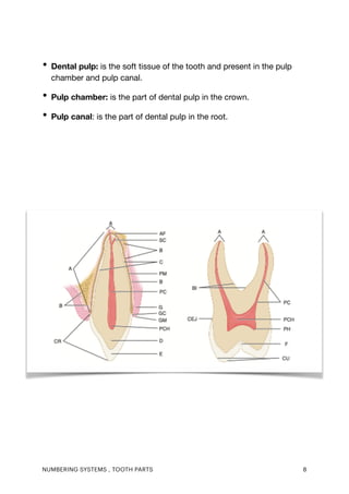 Handout, Lecture 2.pdf