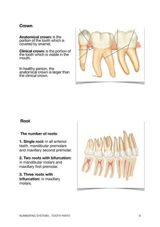 Handout, Lecture 2.pdf