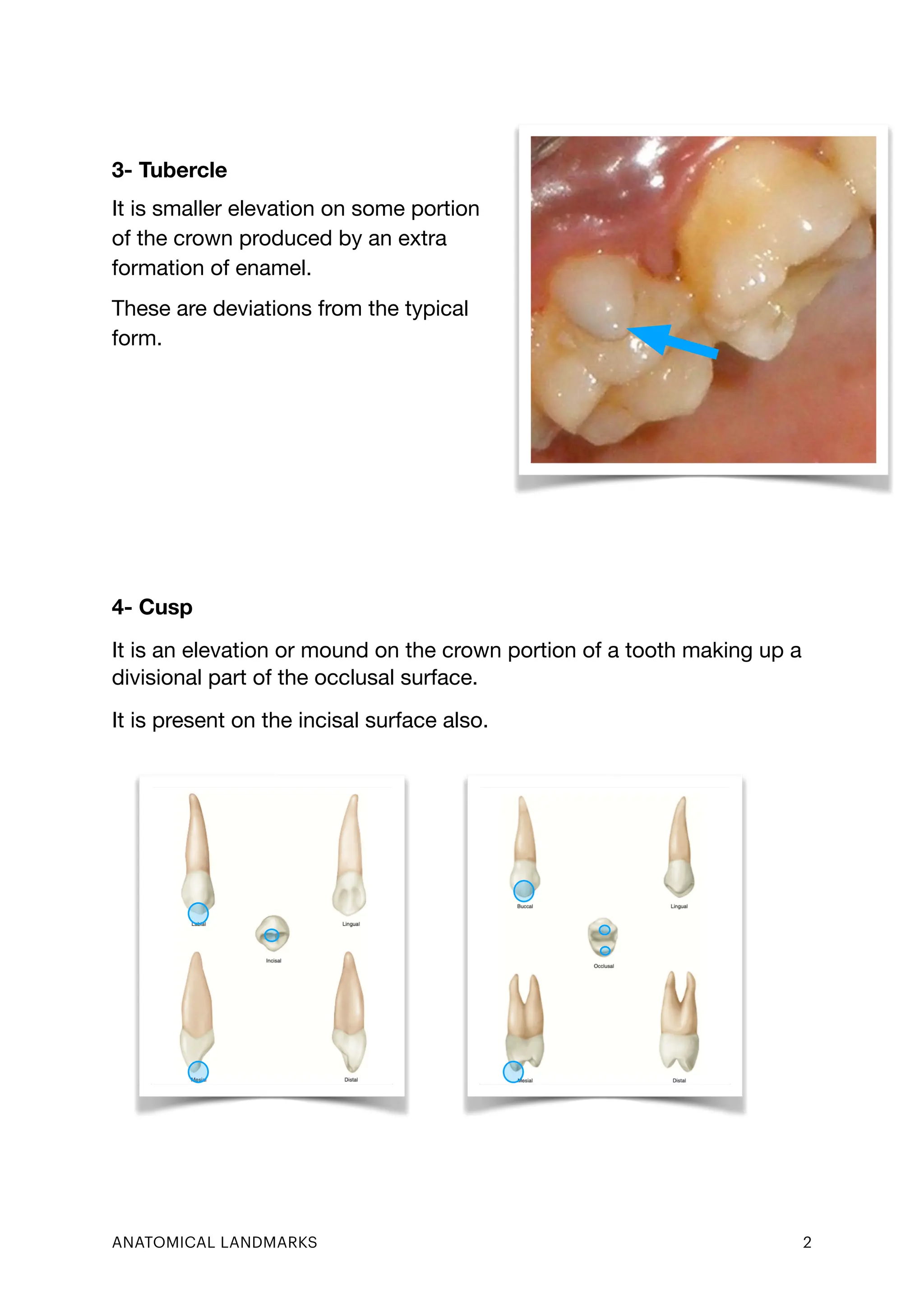 Handout, Lecture 3.pdf | Dental Health | Diseases and Conditions