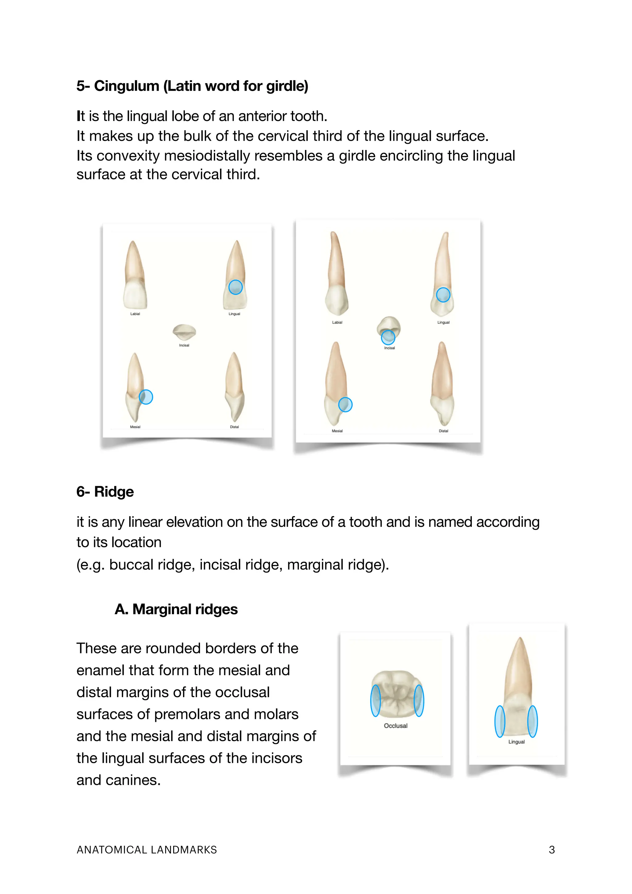Handout, Lecture 3.pdf | Dental Health | Diseases and Conditions