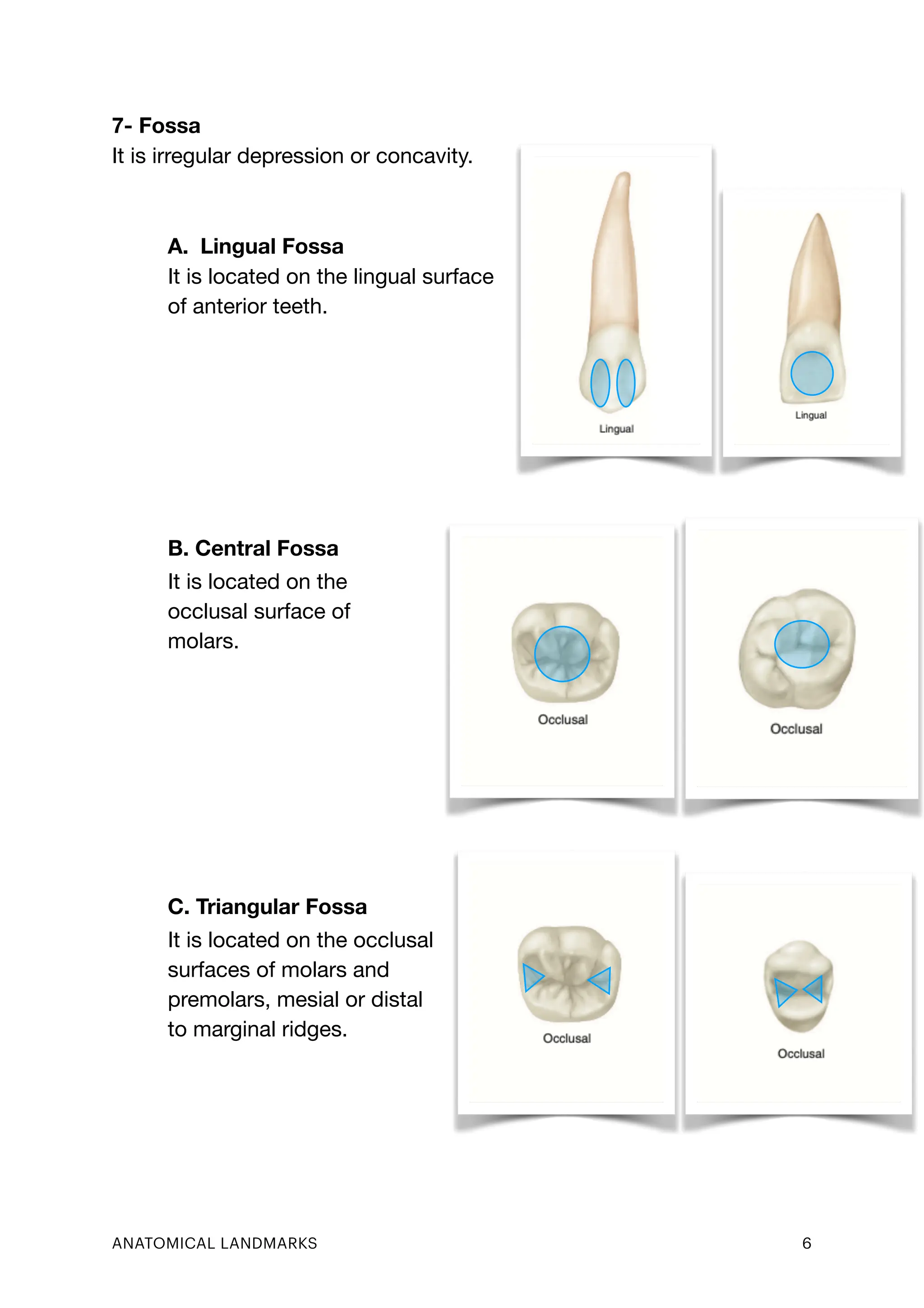 Handout, Lecture 3.pdf