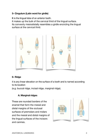 Handout, Lecture 3.pdf | Dental Health | Diseases and Conditions