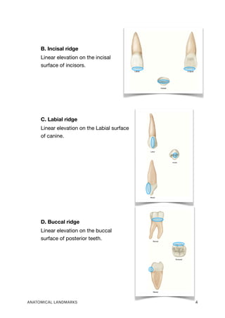 Handout, Lecture 3.pdf | Dental Health | Diseases and Conditions