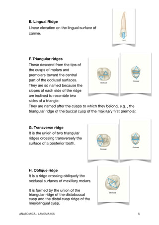 Handout, Lecture 3.pdf | Dental Health | Diseases and Conditions