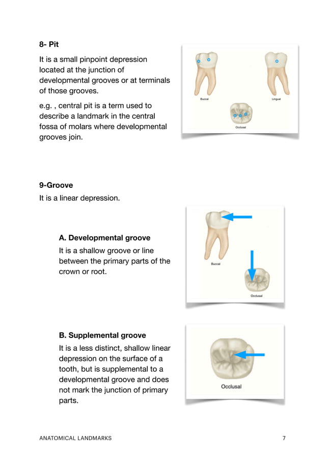 Handout, Lecture 3.pdf | Dental Health | Diseases and Conditions