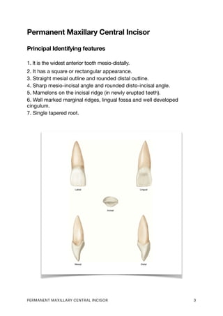 Handout, Lecture 4.pdf