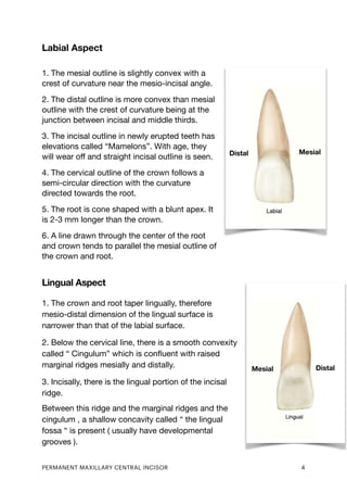 Handout, Lecture 4.pdf