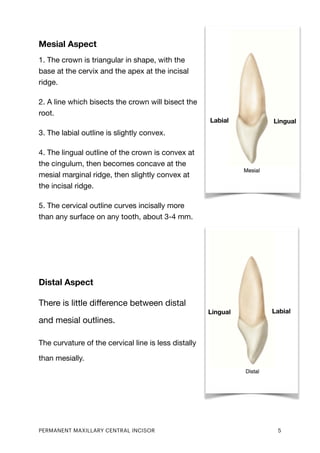 Handout, Lecture 4.pdf