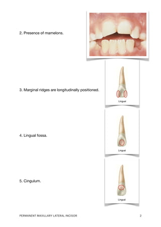 Handout, Lecture 5.pdf