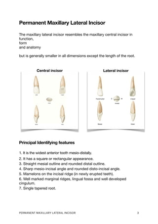 Handout, Lecture 5.pdf