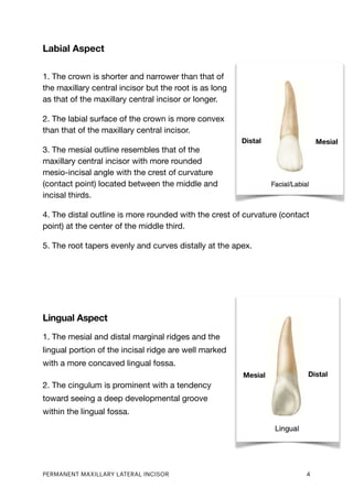 Handout, Lecture 5.pdf