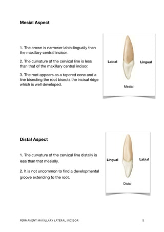 Handout, Lecture 5.pdf