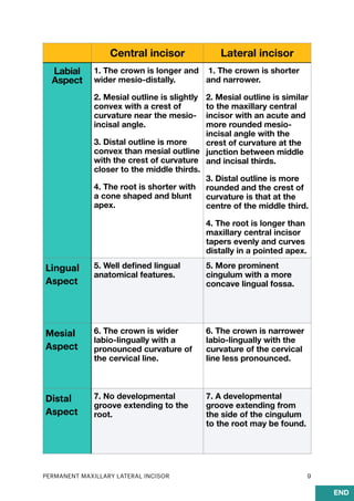Handout, Lecture 5.pdf
